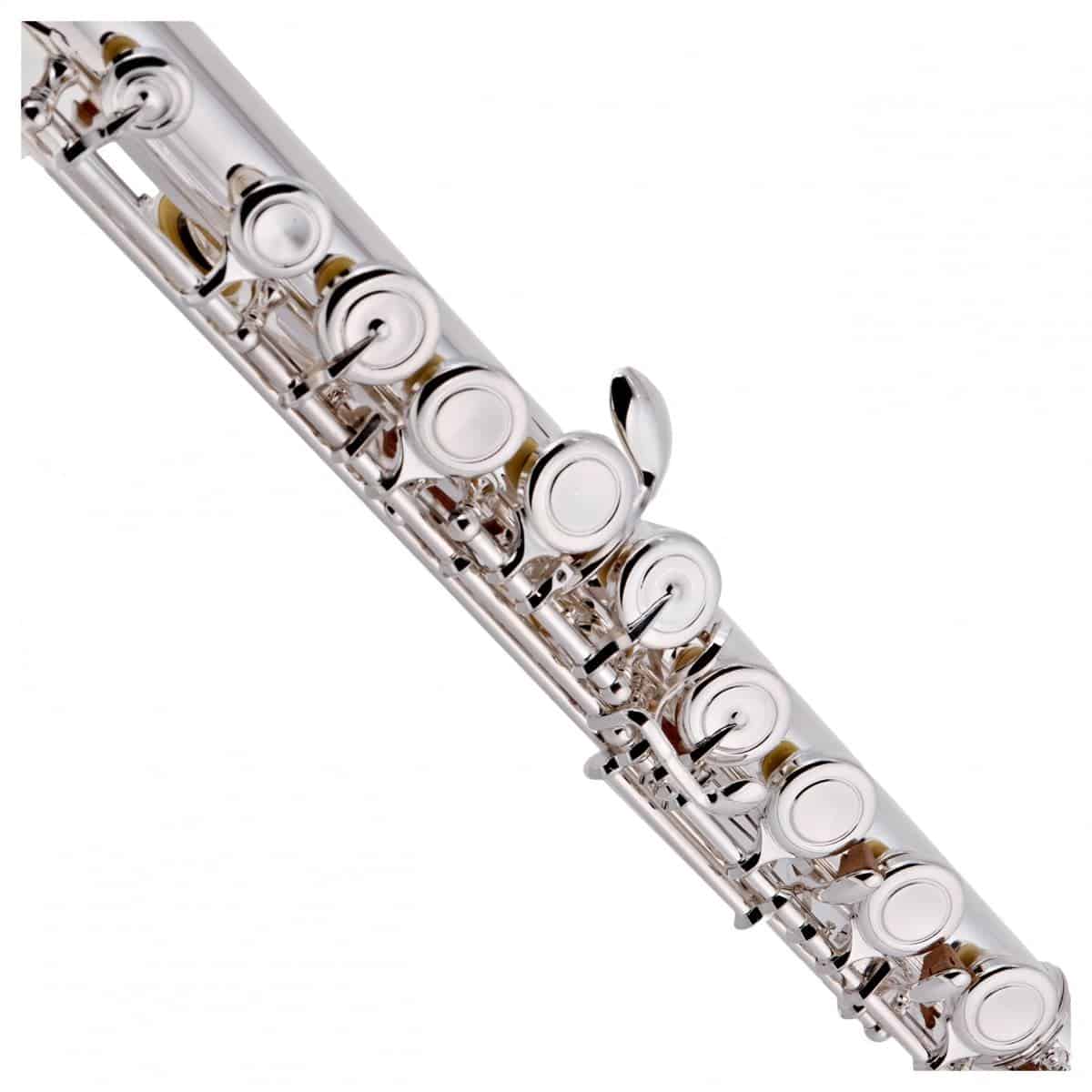 Best Flute For Students Revealed (2025) | Ted's List