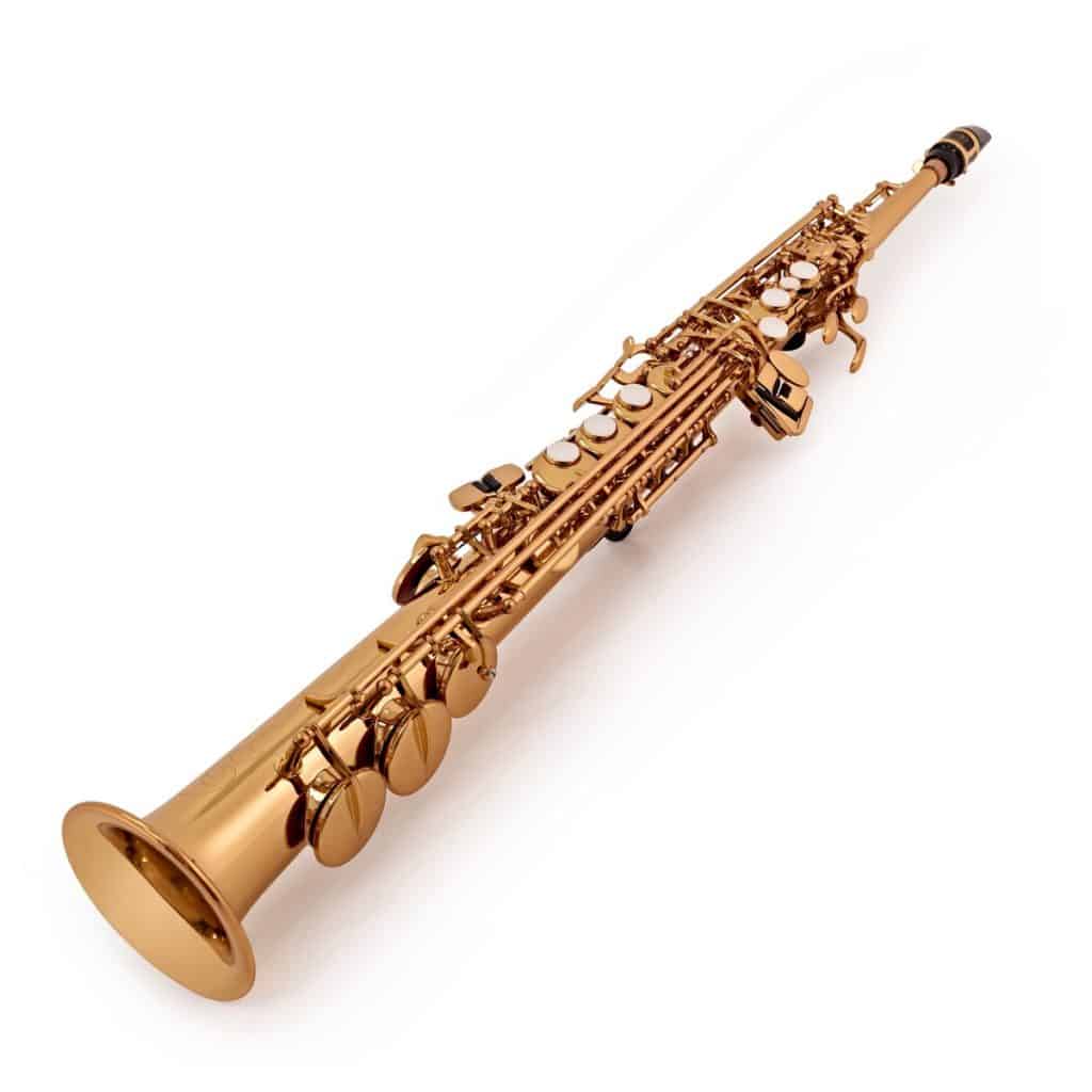 Different Types Of Saxophones | Ted's List