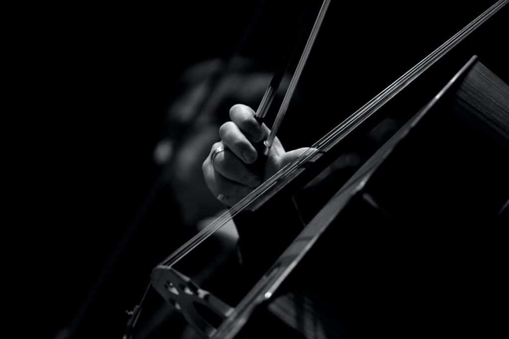 Cello Buyer’s Guide | Ted's List