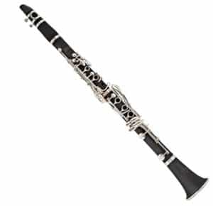 Clarinet Instrument Family: Everything You Need To Know | Ted's List