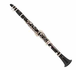 Clarinet Instrument Family: Everything You Need To Know | Ted's List