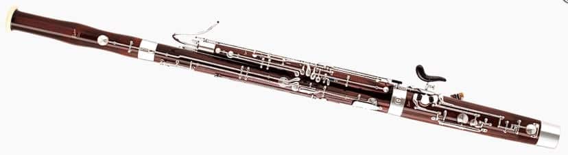 21 Best Bassoons | Ted's List