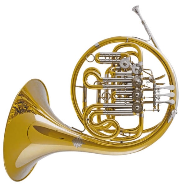 French Horn Buyer's Guide (2025) | Ted's List