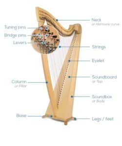 Best Harp For Beginners | Ted's List