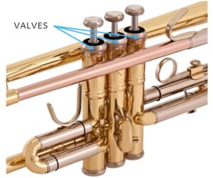 How Much Does A Trumpet Cost | Ted's List