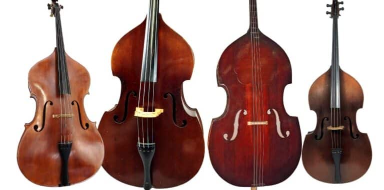 Double Bass Sizes | Ted's List