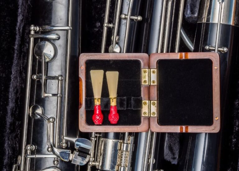 21 Best Bassoons | Ted's List