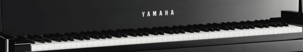 The 15 Best Keyboard Pianos And Digital Pianos (2025) | Ted's List