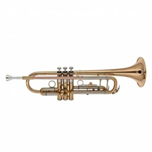 How Much Does A Trumpet Cost | Ted's List