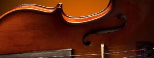 Double Bass Sizes | Ted's List
