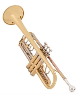 Types Of Trumpets Explained | Ted's List