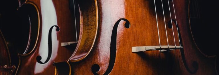 Top 5 Best Cello Strings In 2025 | Ted's List