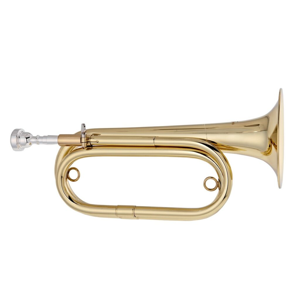 Types Of Trumpets Explained | Ted's List