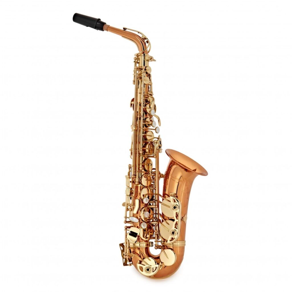 Best Saxophone Brands (2025) | Ted's List