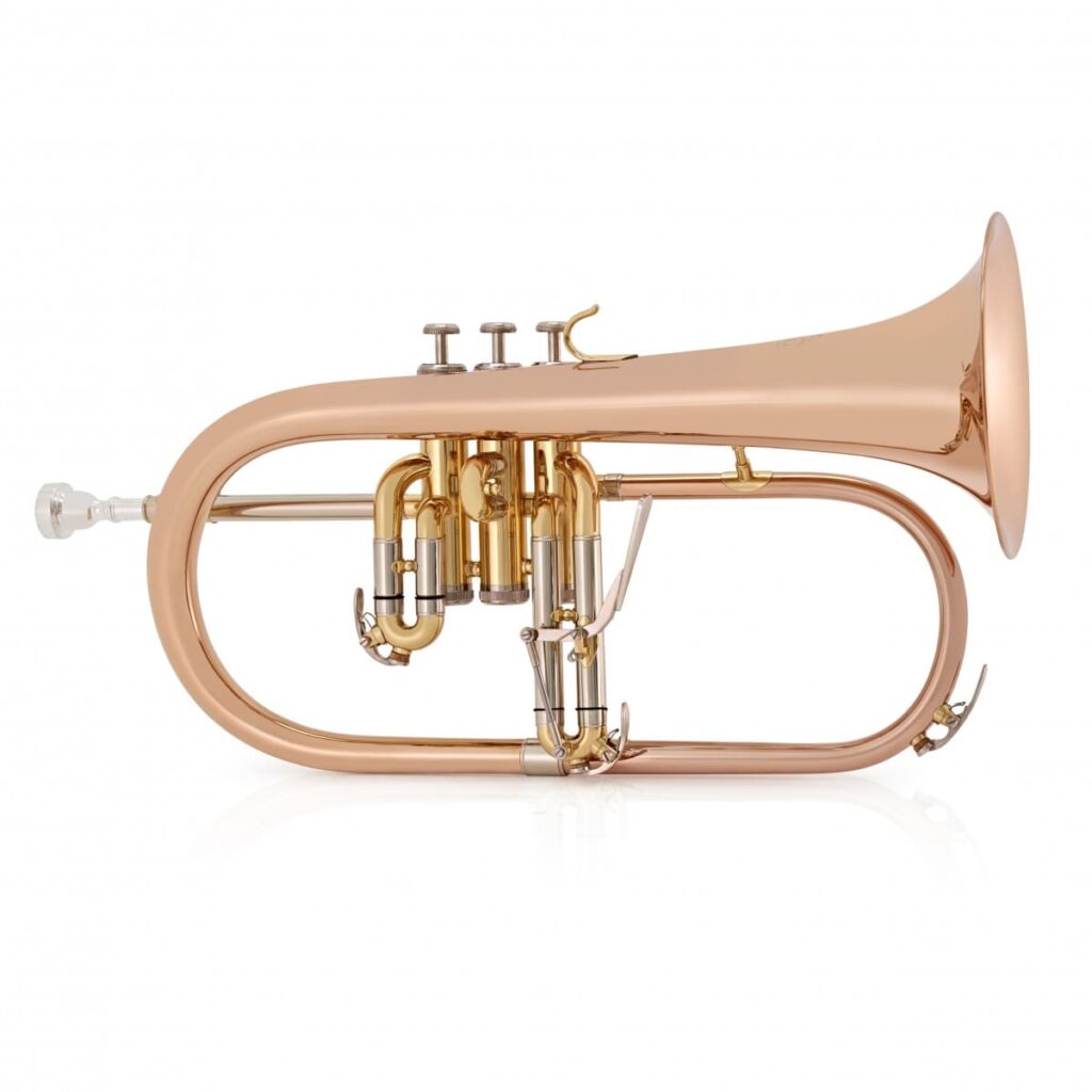 Types Of Trumpets Explained | Ted's List