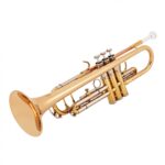 Types Of Trumpets Explained | Ted's List