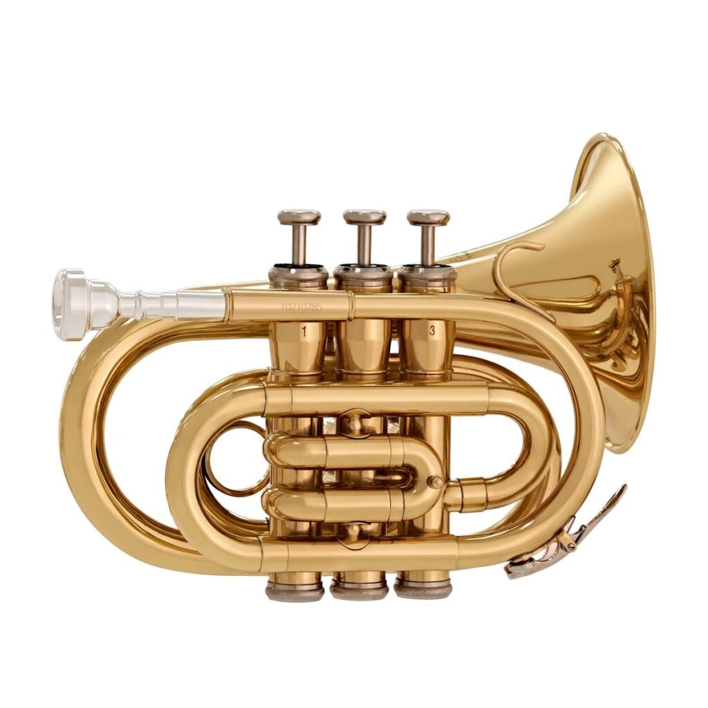Types Of Trumpets Explained | Ted's List