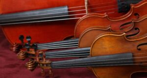 String Family | Ted's List