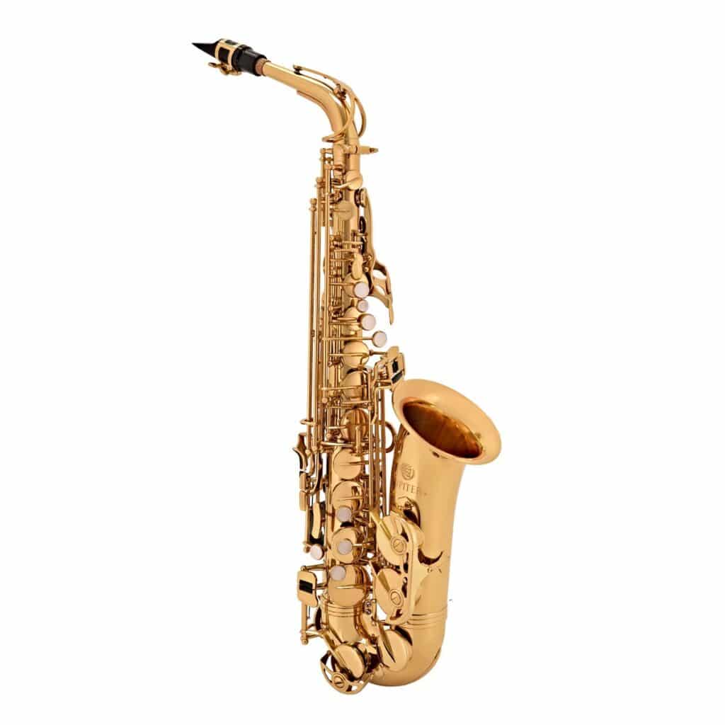 Best Saxophone Brands (2025) | Ted's List