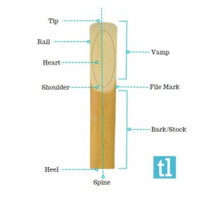 Best Clarinet Reeds For Beginners (2025) | Ted's List