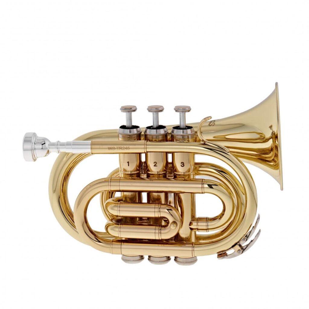 Types Of Trumpets Explained | Ted's List