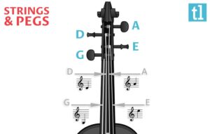 Violin Notes Chart: Your Essential Guide To Mastering The Fingerboard ...