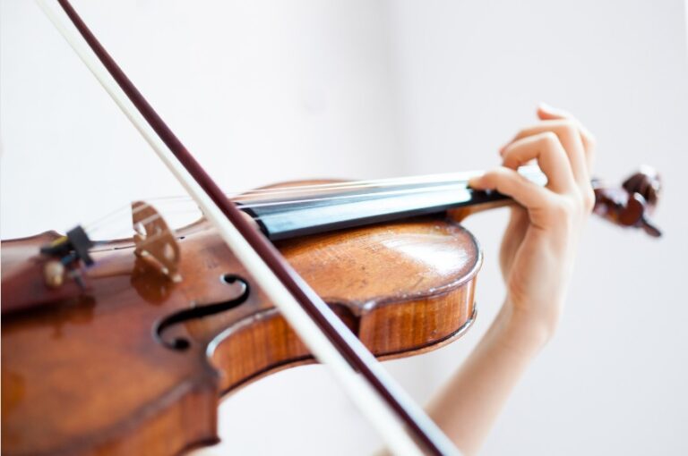 String Family | Ted's List