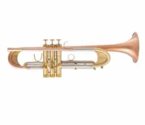 Types Of Trumpets Explained | Ted's List