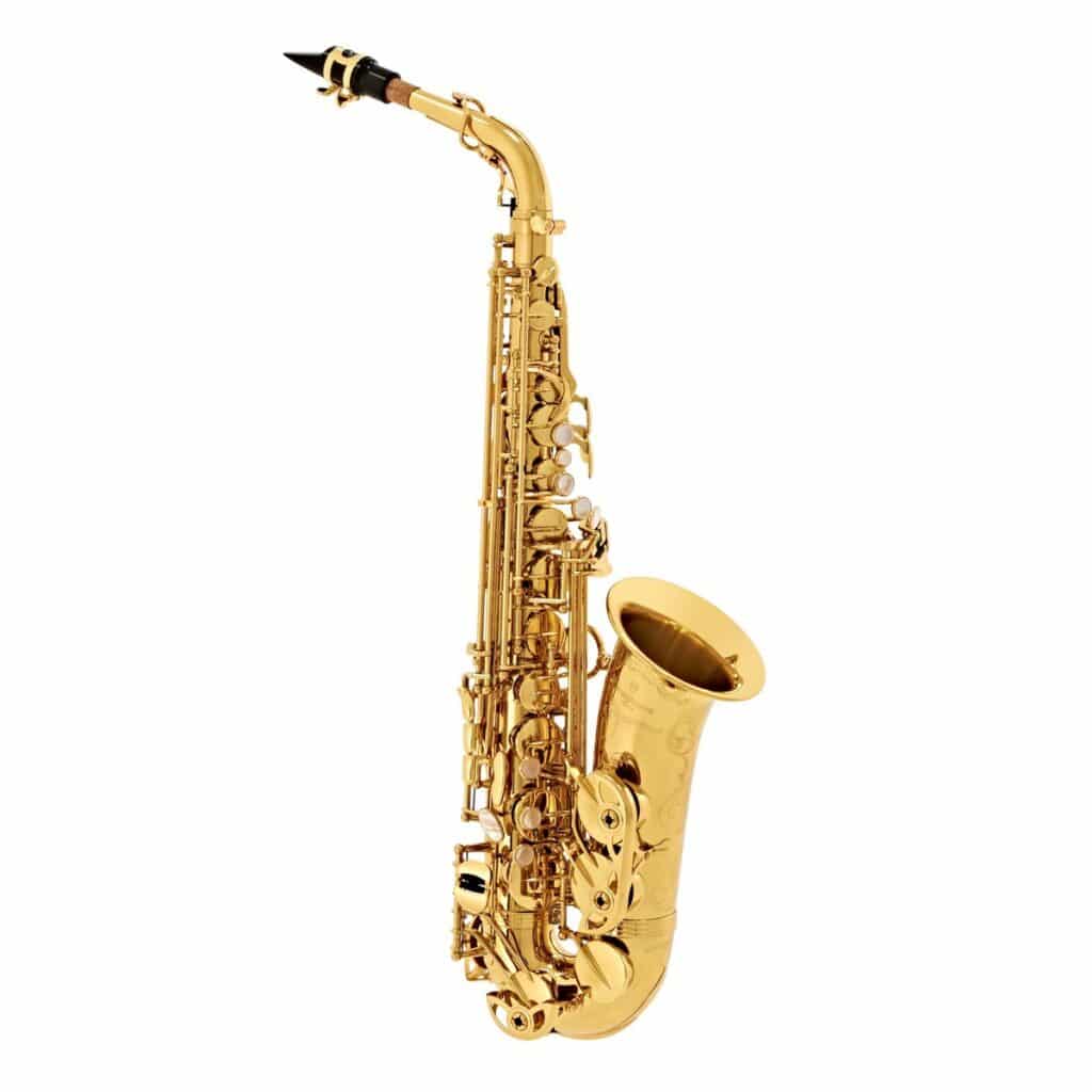 Best Saxophone Brands (2025) | Ted's List