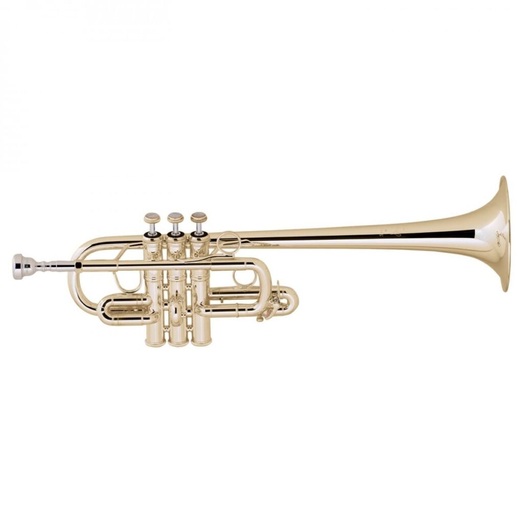 Types Of Trumpets Explained | Ted's List