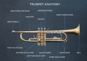 How Much Does A Trumpet Cost | Ted's List