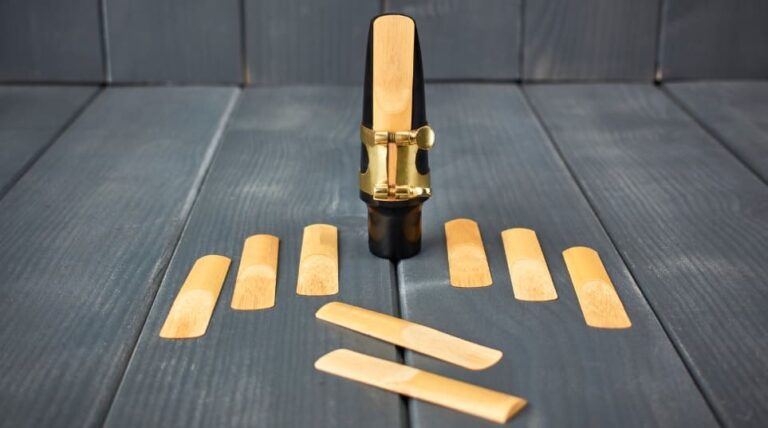 Best Saxophone Reeds (2025) | Ted's List
