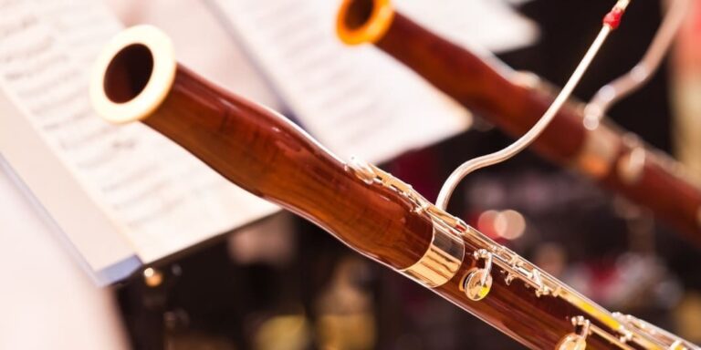 Bassoon Cleaner: What Is The Best Way To Clean Your Bassoon? | Ted's List