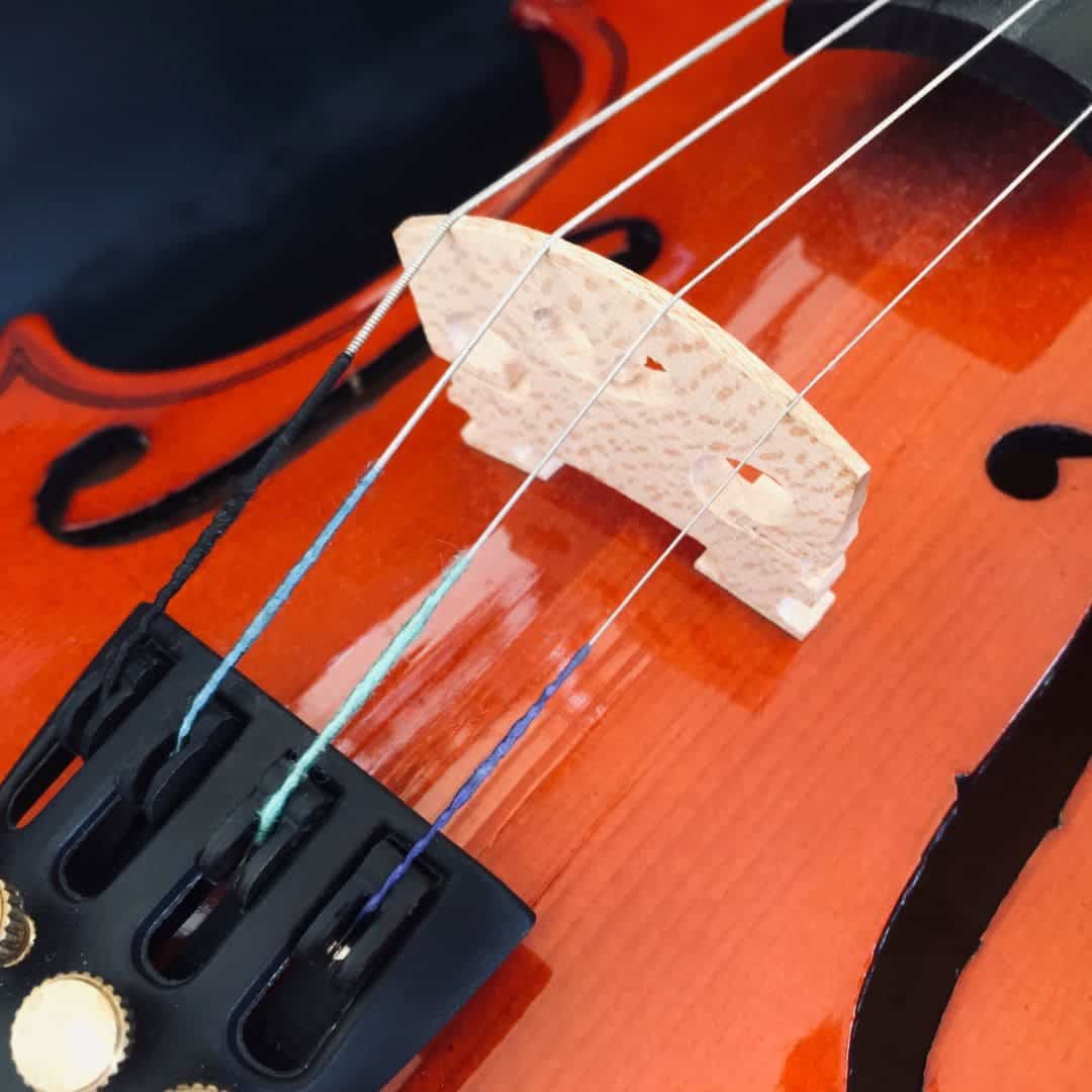 The Ultimate Guide To The Best Violin Strings In 2025 | Ted's List