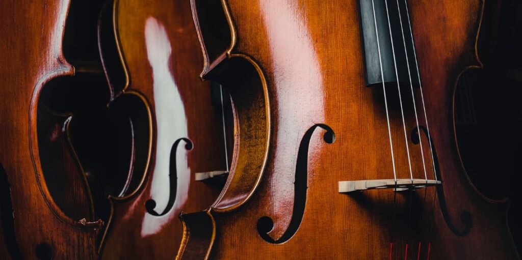 How Much Does A Cello Cost? | Ted's List