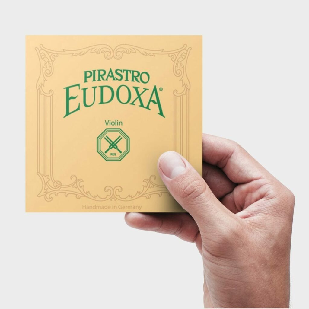 The Ultimate Guide To The Best Violin Strings In 2025 | Ted's List