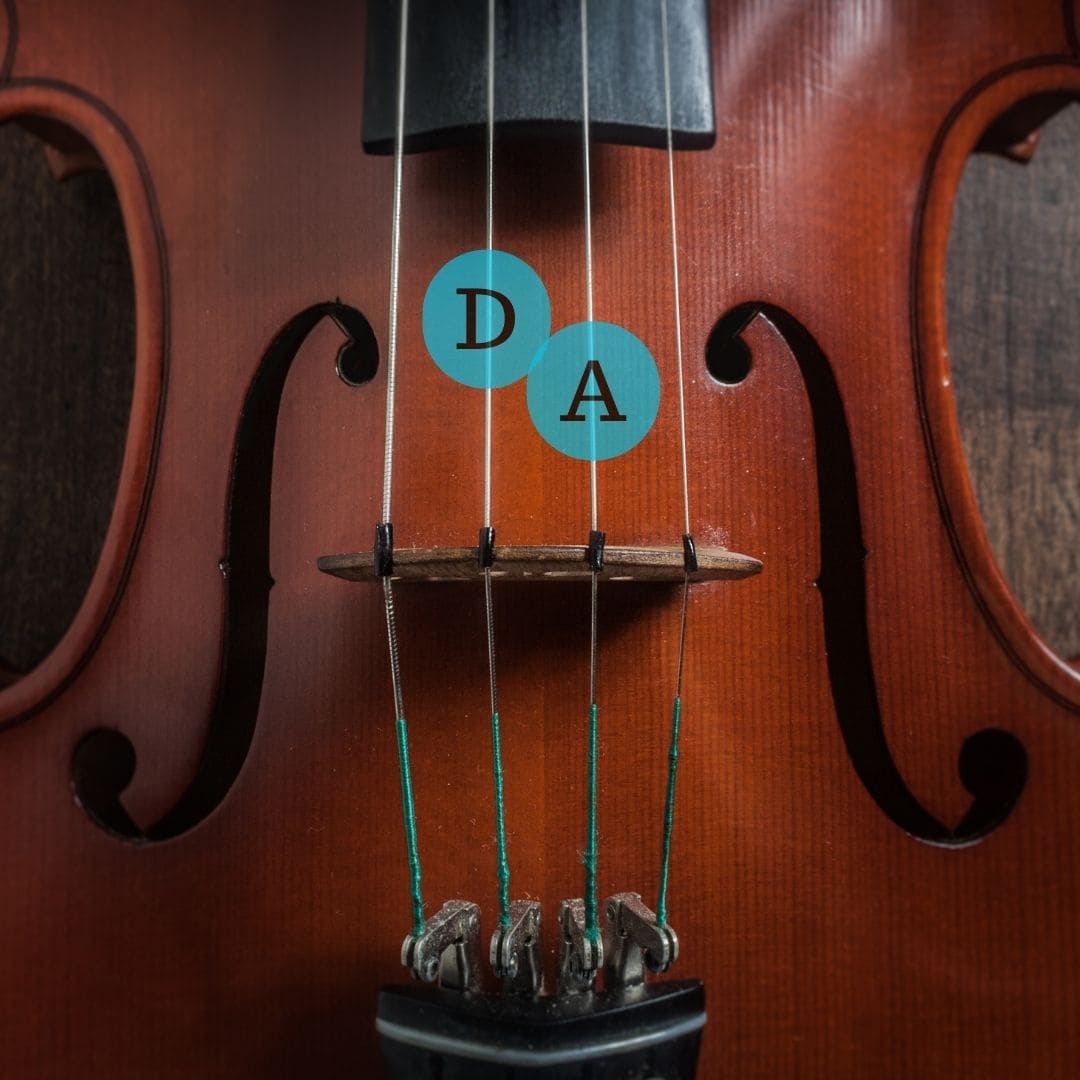 The Ultimate Guide To The Best Violin Strings In 2025 | Ted's List