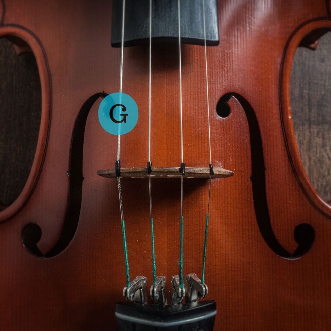 The Ultimate Guide To The Best Violin Strings In 2025 | Ted's List