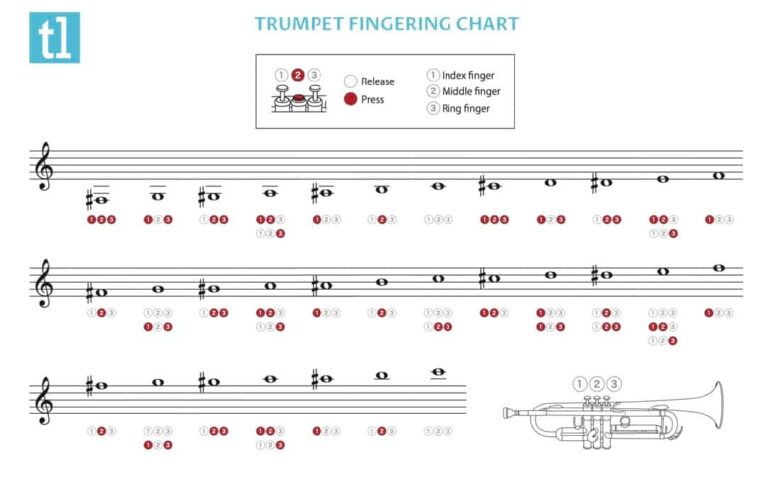 Trumpet Scales Finger Chart: The Ultimate Cheat Sheet For Aspiring ...