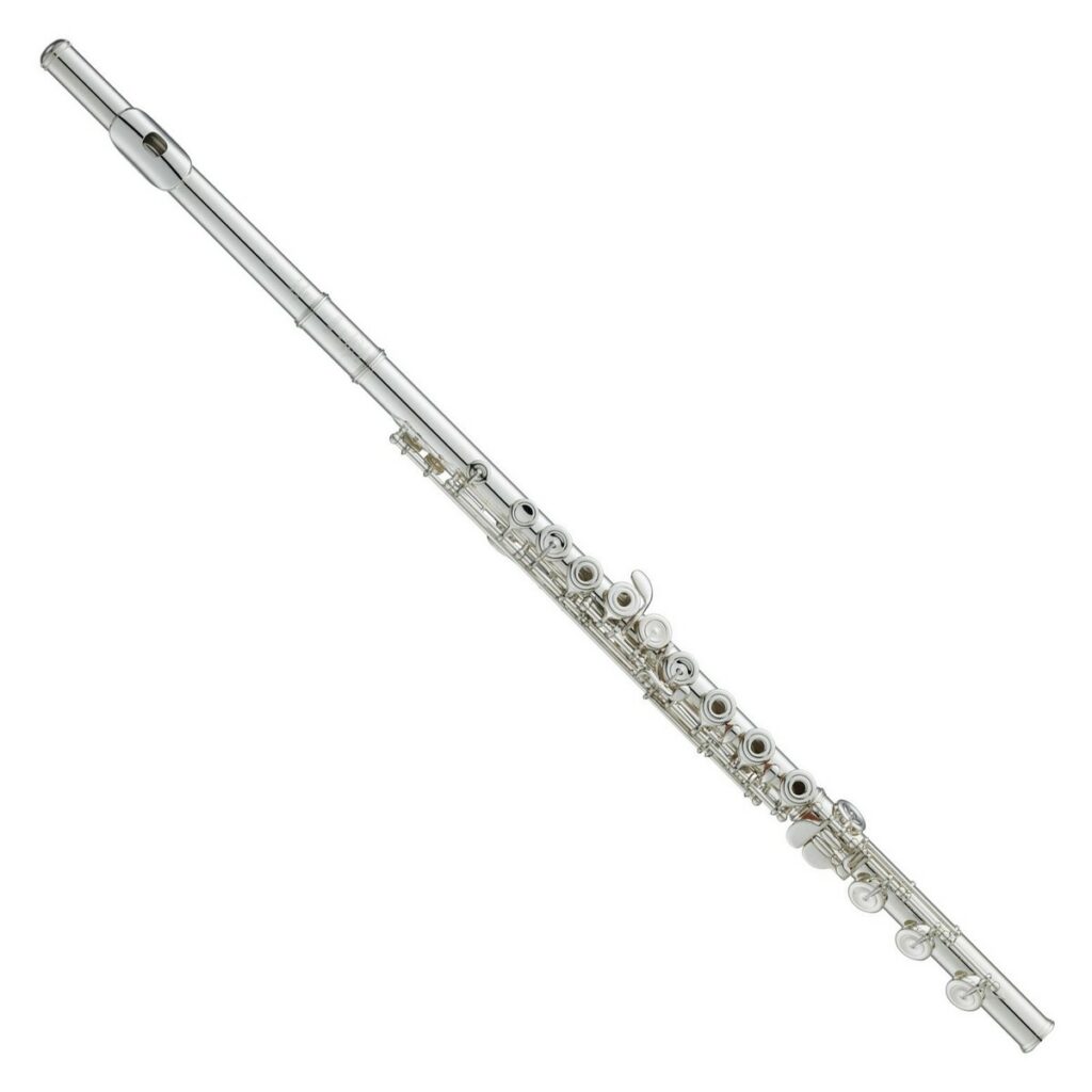 How Much Does A Flute Cost? | Ted's List