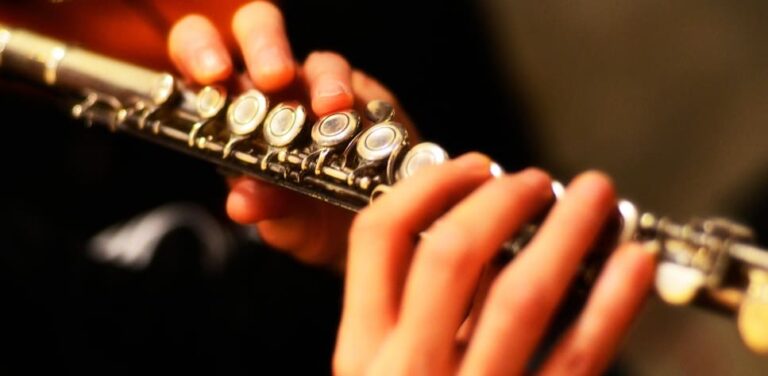 How Much Does A Flute Cost? | Ted's List