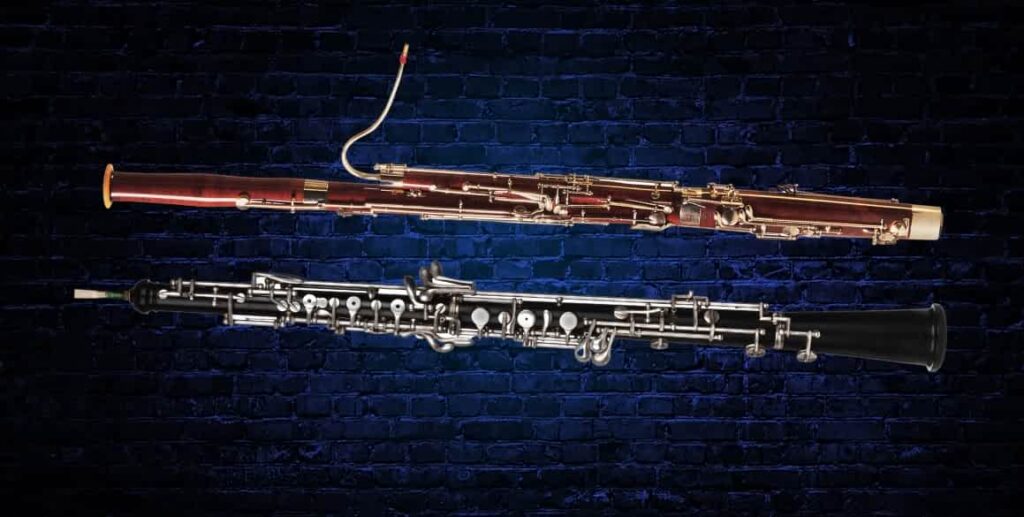 Bassoon Vs Oboe: Which Woodwind Instrument Reigns Supreme? | Ted's List