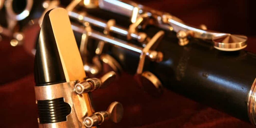 Our List Of The Best Beginner Clarinet Reeds (2025) | Ted's List