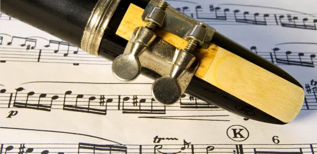 Best Reeds For Clarinet (2025) | Ted's List