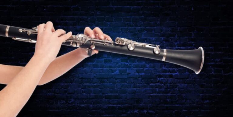 A Guide To The Different Clarinet Types | Ted's List