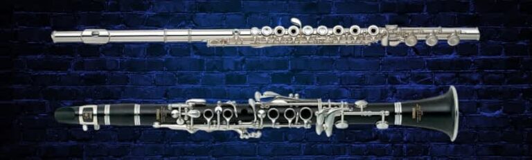 Clarinet VS Flute | Ted's List