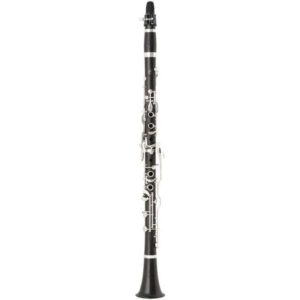 A Guide To The Different Clarinet Types | Ted's List
