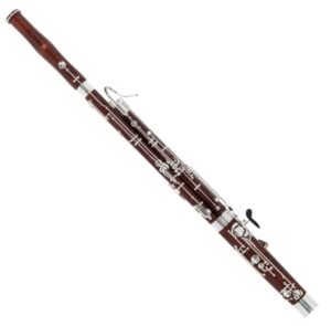 Bassoon Vs Oboe: Which Woodwind Instrument Reigns Supreme? | Ted's List