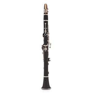 A Guide To The Different Clarinet Types | Ted's List