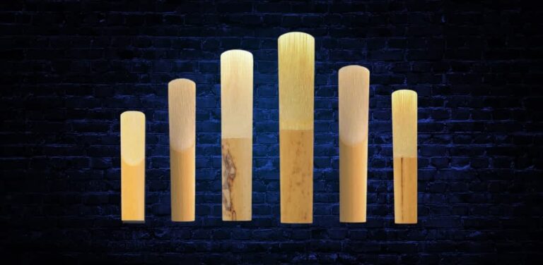 Choosing What Size Reed For Clarinet: A Comprehensive Guide | Ted's List